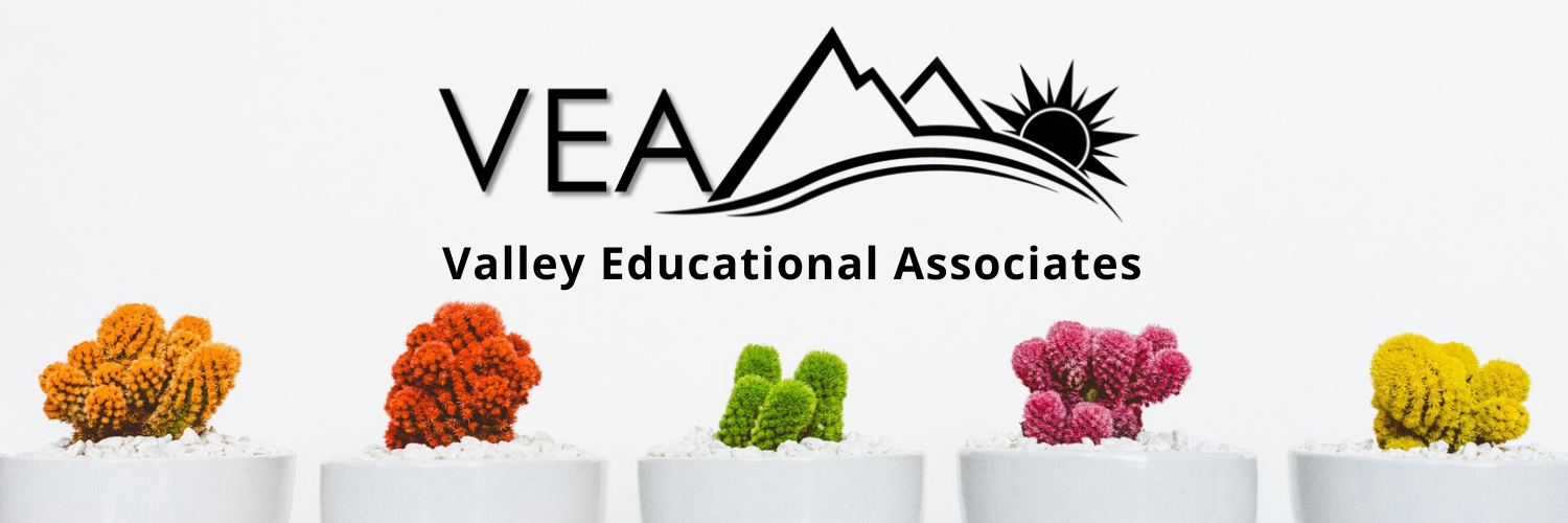 Case Studies of Success | Valley Educational Associates