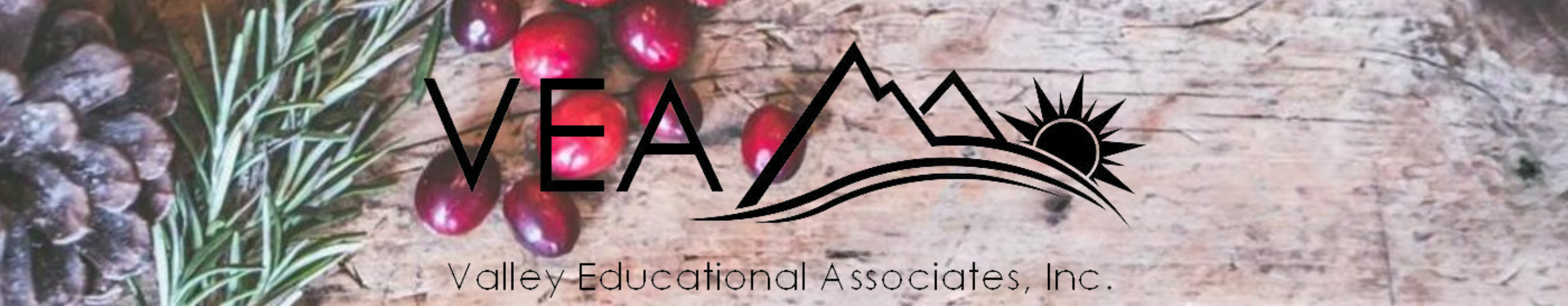 Valley Educational Associates - Our Mission: Striving to improve the ...